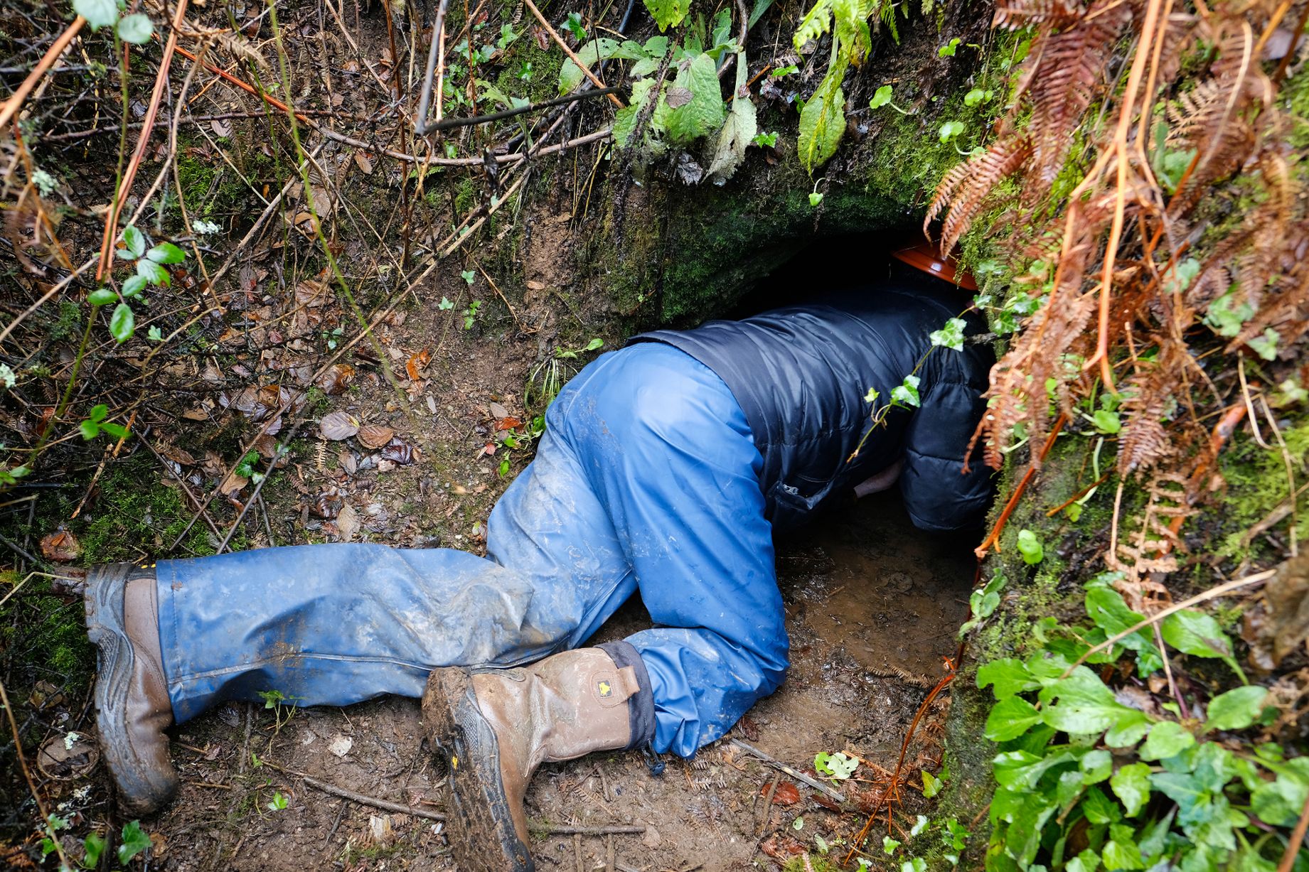 Inside mysterious woodland cave where Neolithic axe was found ...