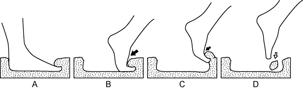 Oldest Human Footprint in Americas May Be This 15,600-Year-Old Mark in ...