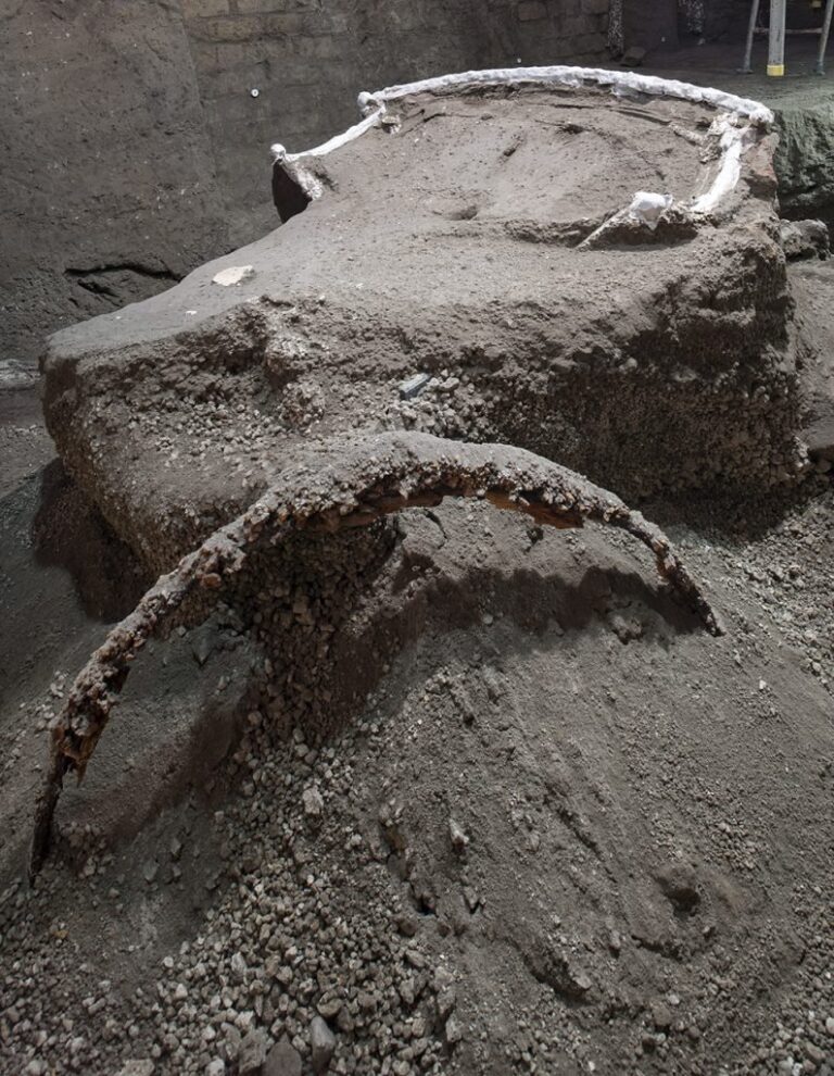 ‘Miraculously’ Well-Preserved Ceremonial Chariot Found at Villa Outside ...