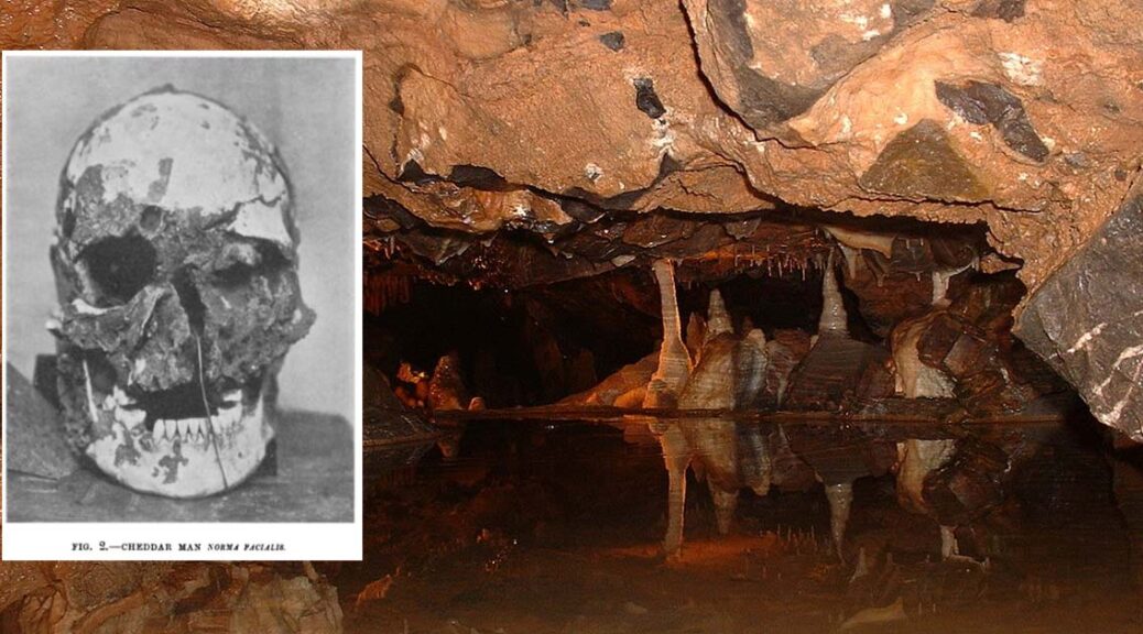 9,000-Year-Old Cheddar Man Has Living Descendant Still Living in The ...