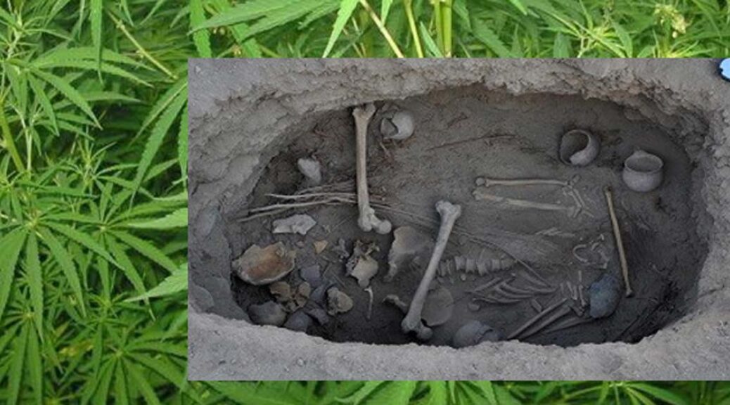 Archaeologists Are Surprised to Find a 2,500-Year-Old Cannabis Burial ...