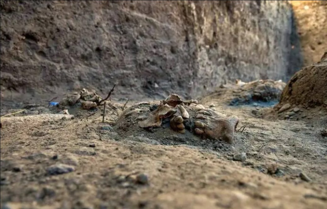 A cemetery discovered in Mexico City illustrates evolving burial practises