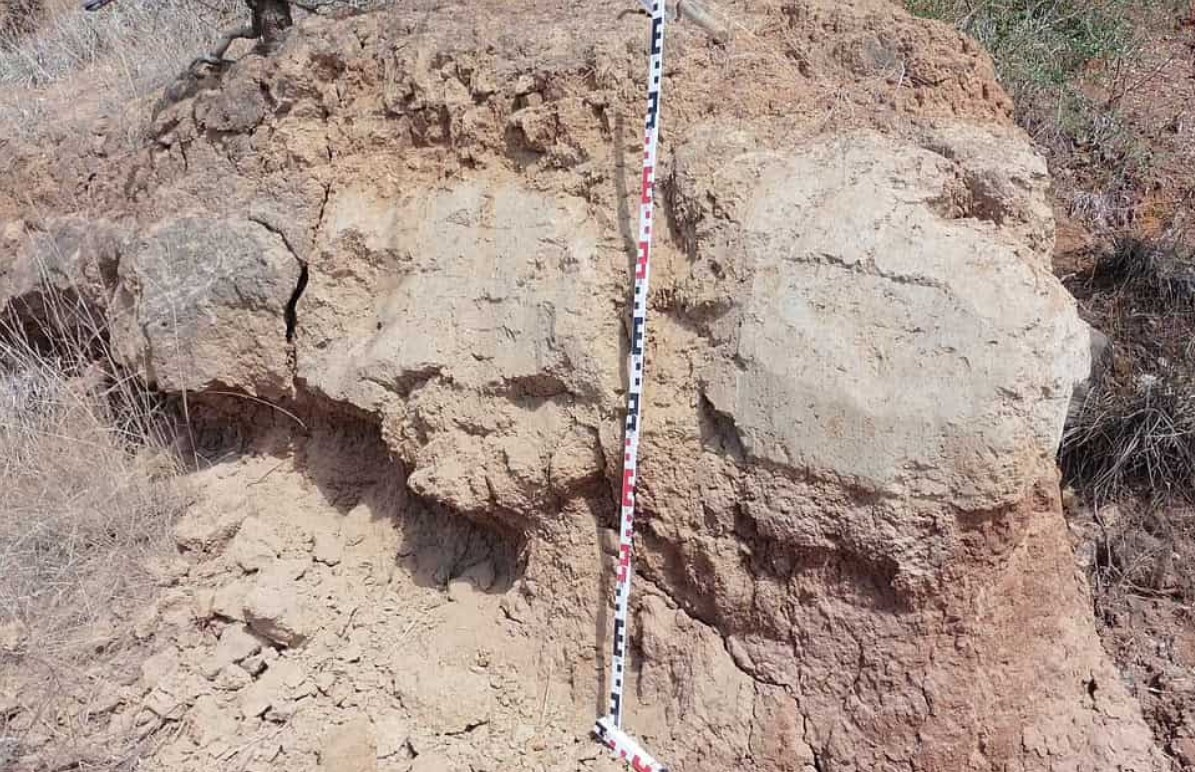 More than 230,000 Years Ago, The Earliest Human Remains Were Discovered ...