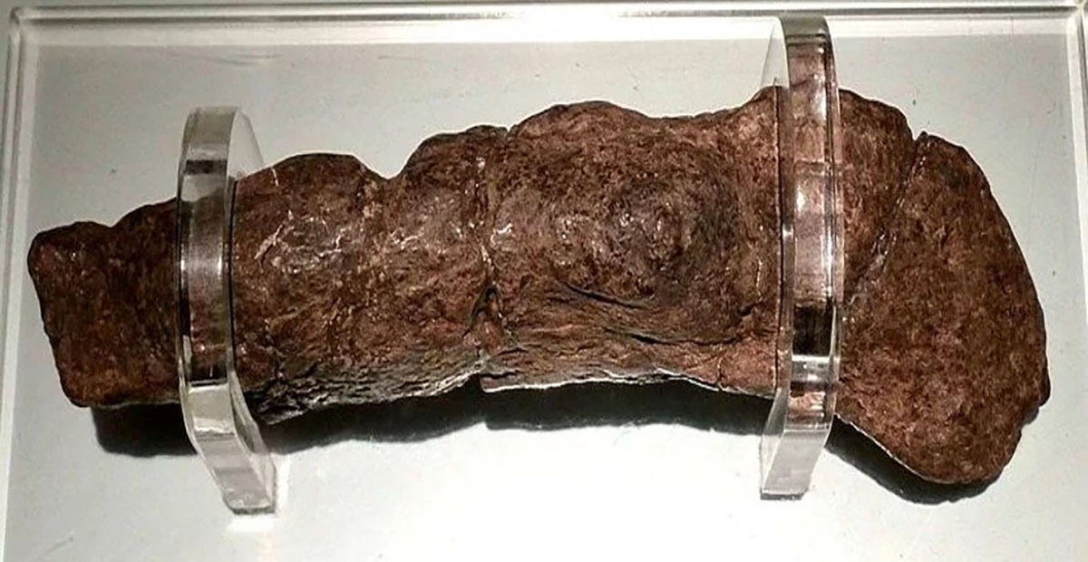 The Largest Fossilized Human Turd Ever Found Came From a Sick Viking ...