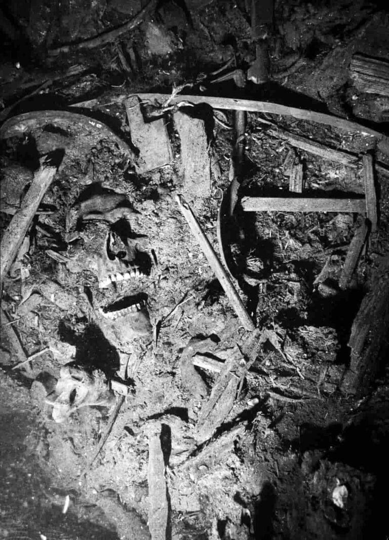 2,000 Years of Genetic History in Scandinavia: Unraveling the Viking ...